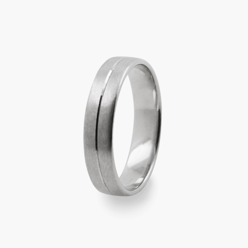 GWR2007 5mm Centre Line Platinum/Palladium Ring, Dublin